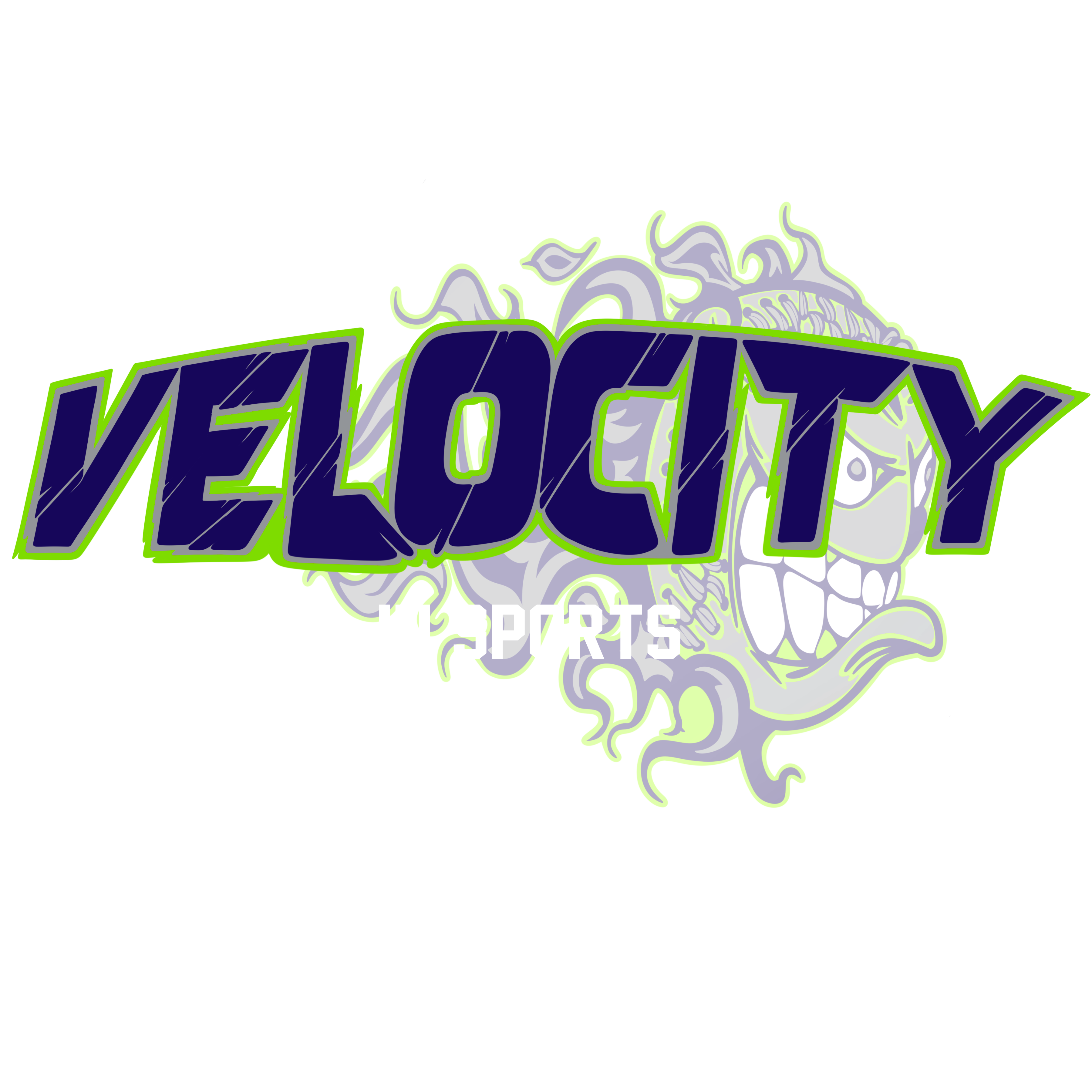 Velocity – Raising Bees Designs